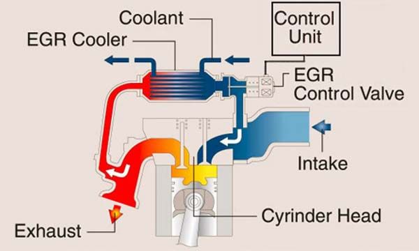 EGR Removal - Pace Tuning